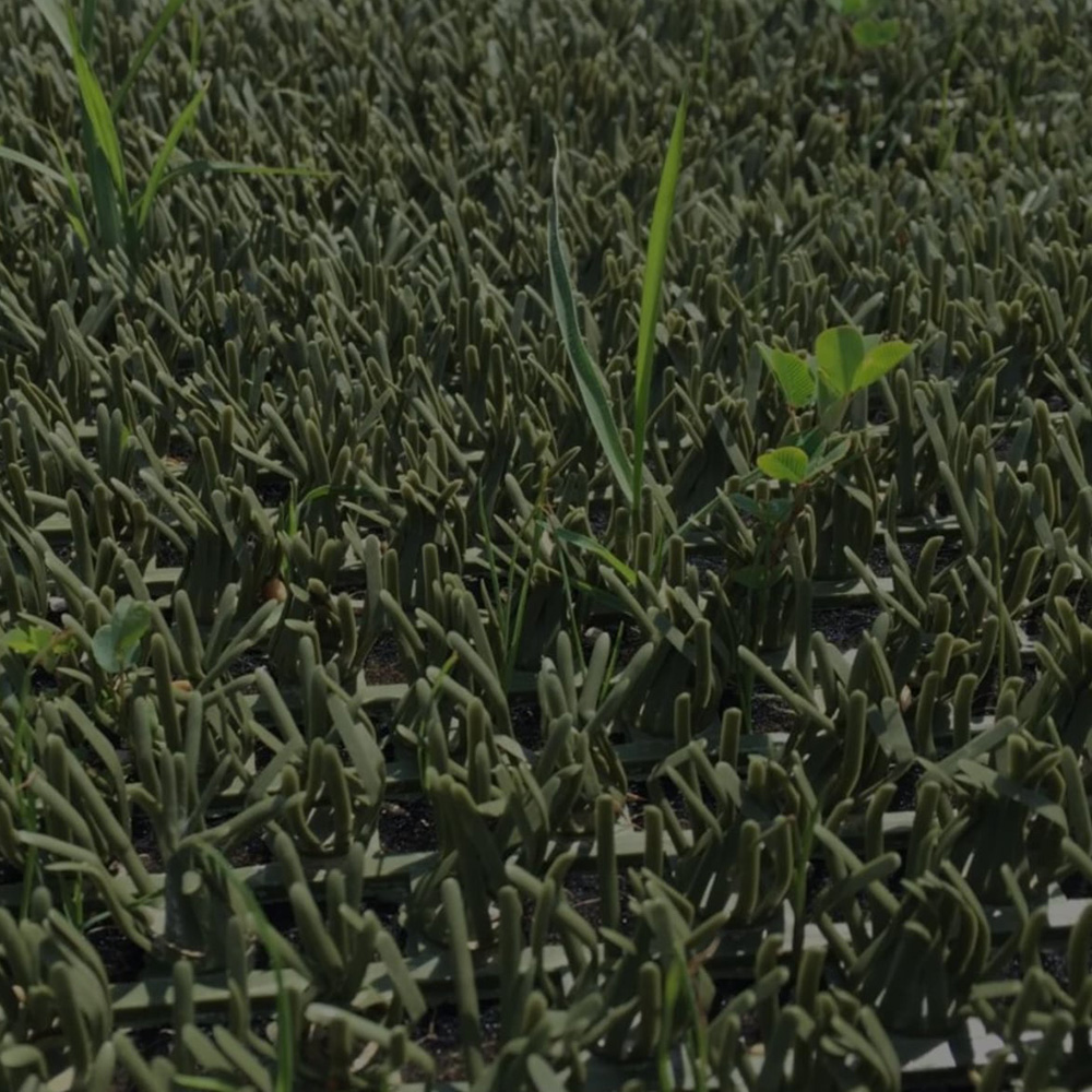 InstaTurf Shearforce - Erosion Products For High-Flow Channels