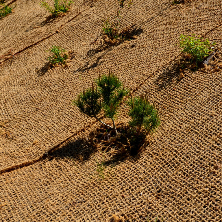 Jute Netting - Erosion Control Blankets - Ferguson Waterworks