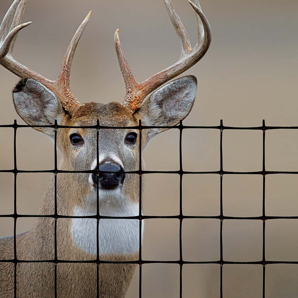 Deer Fence - Professional-Grade Plastic Netting