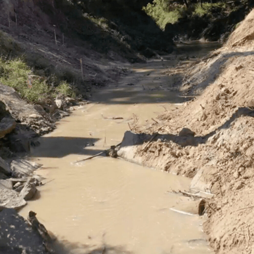 GEOWEB Vegetated Retaining Wall System Protects Lemm Gully
