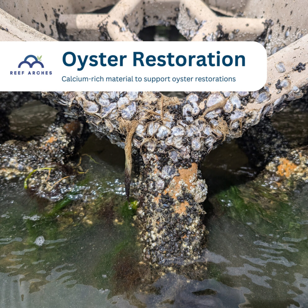 Reef Arches - Shoreline Protection Solutions - Ferguson Waterworks