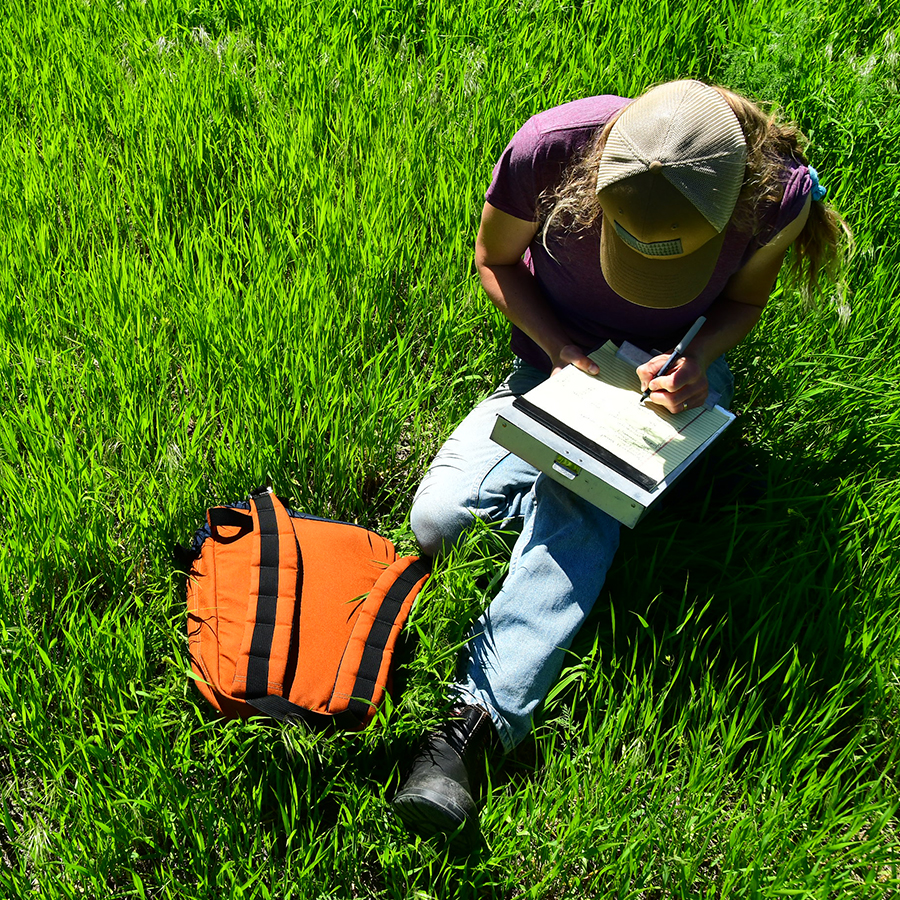 Fertilizer For Native Perennials - NutraFix Supports Pastureland