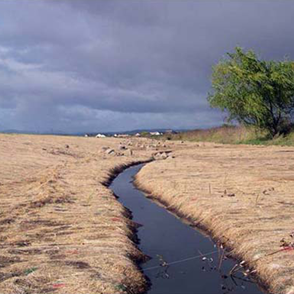 Straw/Coconut Erosion Control Blankets - Your Local Supplier